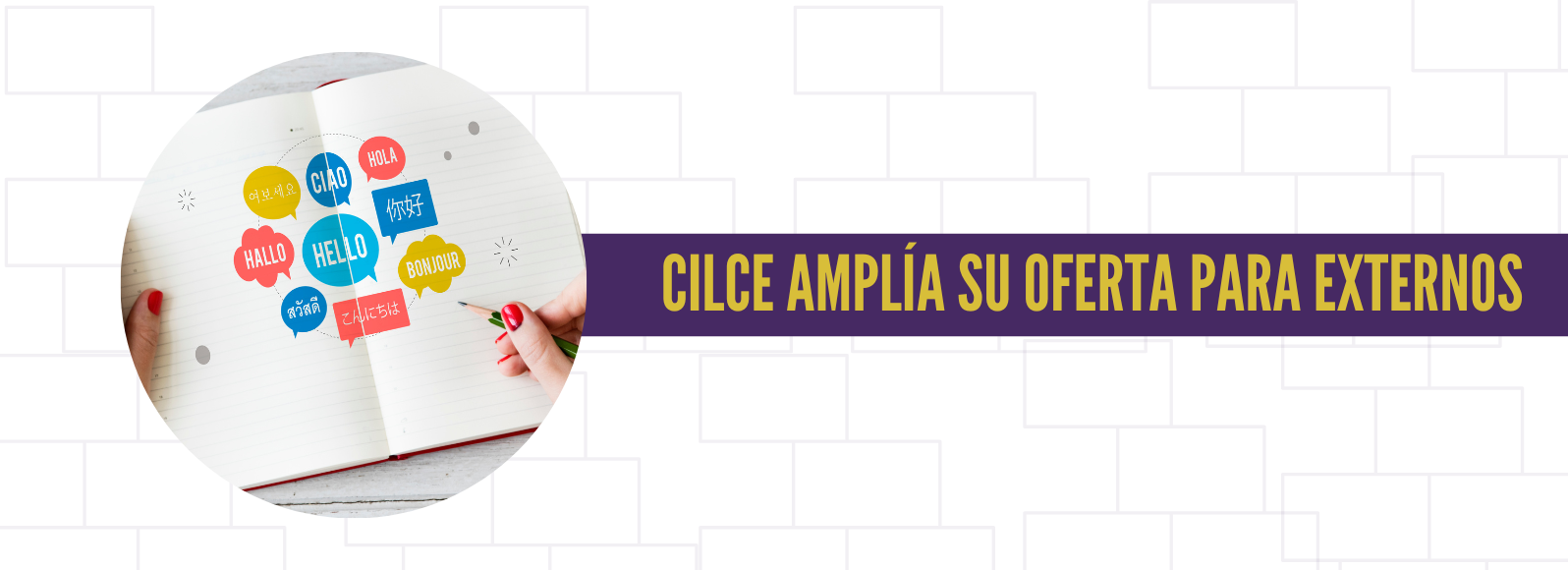 CILCE amplía su oferta para externos